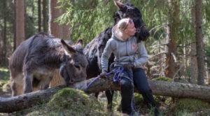 Activities and experiences - Visit Porvoo
