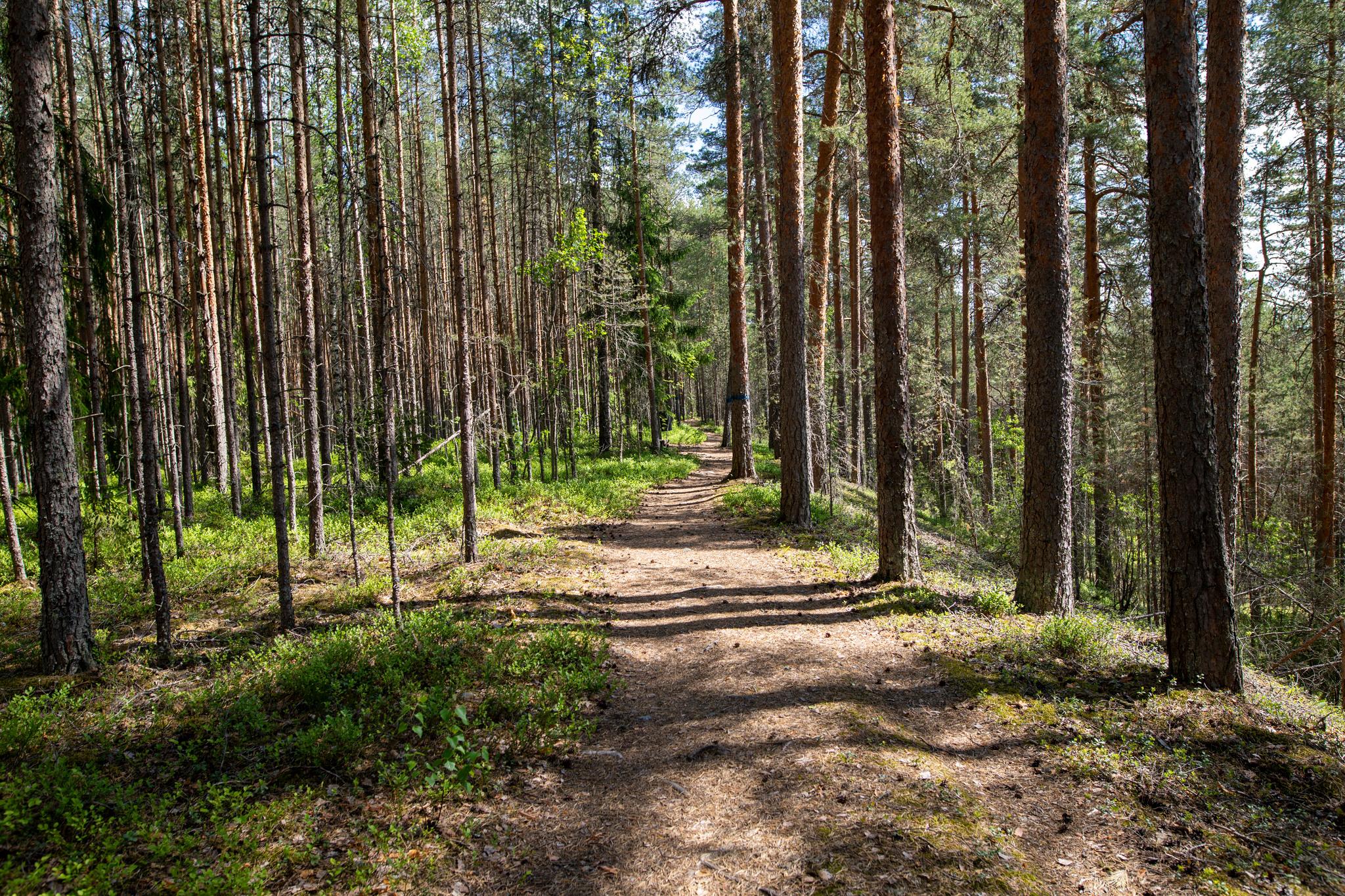Myrskylä - Visit Porvoo